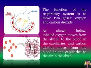 Transport of oxygen and carbondioxide | PPTX