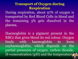 Transport of oxygen and carbondioxide | PPTX