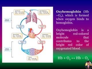 Transport of oxygen and carbondioxide | PPTX