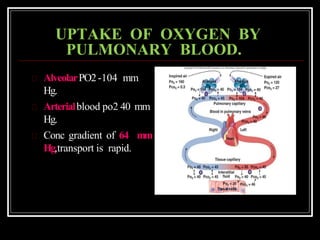 Transport of oxygen | PPT