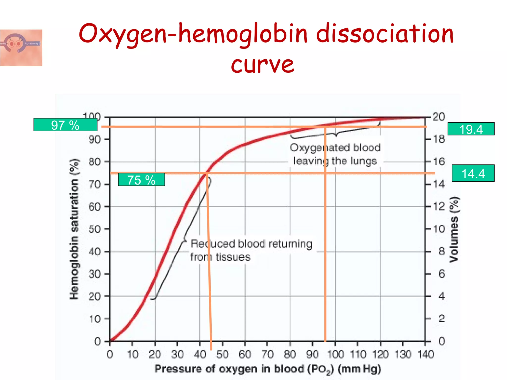 Transport of oxygen in the blood | PPT