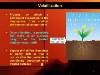 Transport of pesticides in environment | PPTX | Science