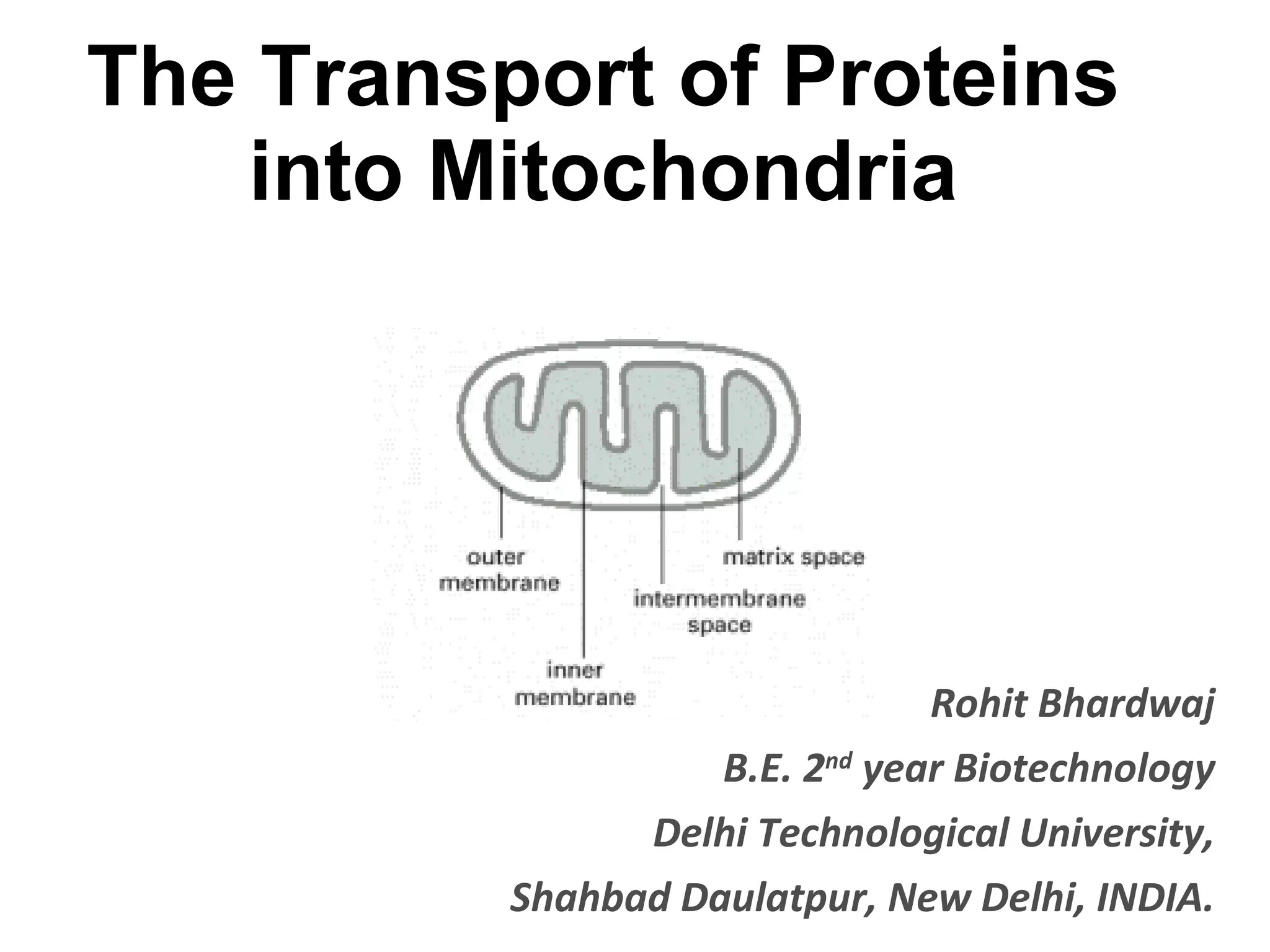 Transport Of Proteins | PPT