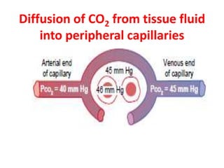 transport of resp gases Reeshma.ppt