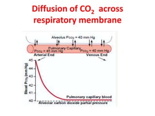 transport of resp gases Reeshma.ppt