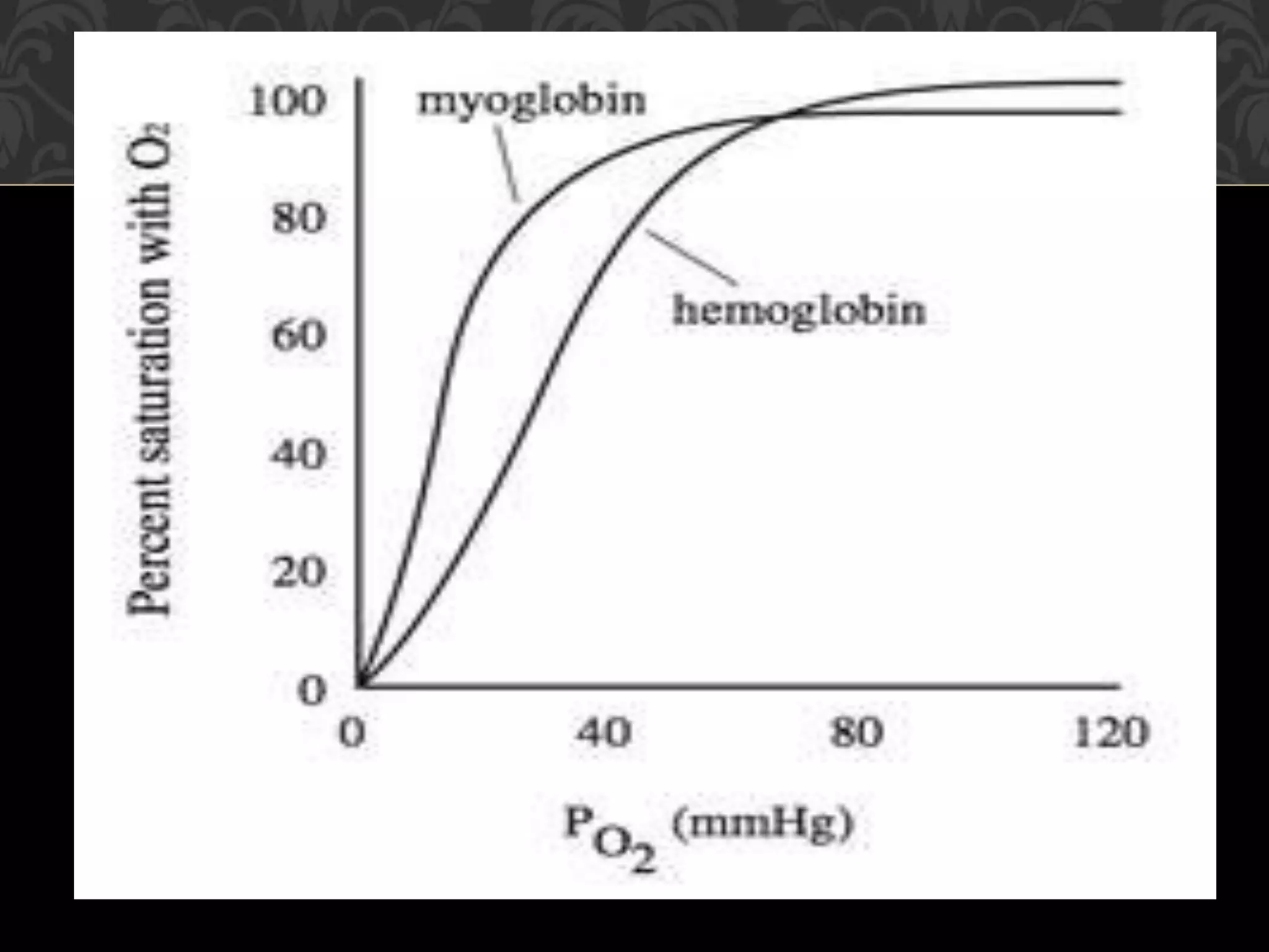 Biology Option D:Transport of respiratory gases | PPT