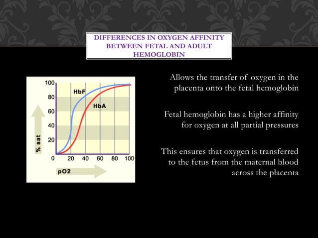 Biology Option D:Transport of respiratory gases | PPT