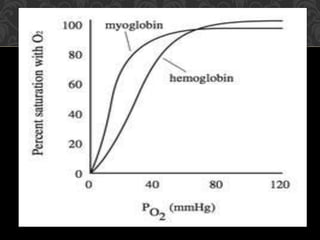 Biology Option D:Transport of respiratory gases | PPT