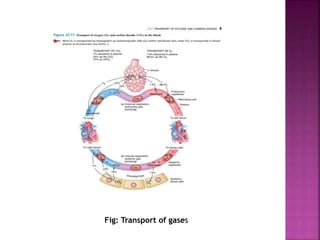 Transport of respiratory gases | PPTX