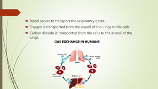 Transport of Respiratory Gases Seminar.pptx