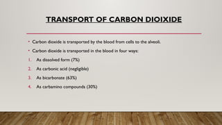 TRANSPORT OF RESPIRATORY GASES 1.pptx Physiology slides | PPTX