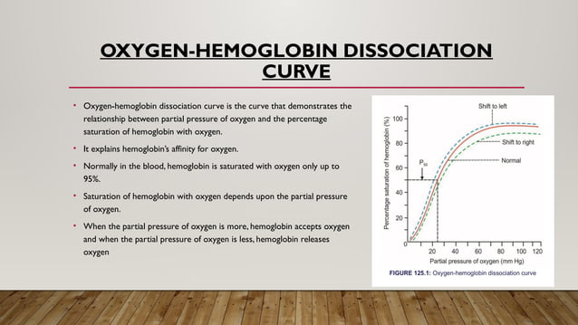 TRANSPORT OF RESPIRATORY GASES 1.pptx Physiology slides | PPT