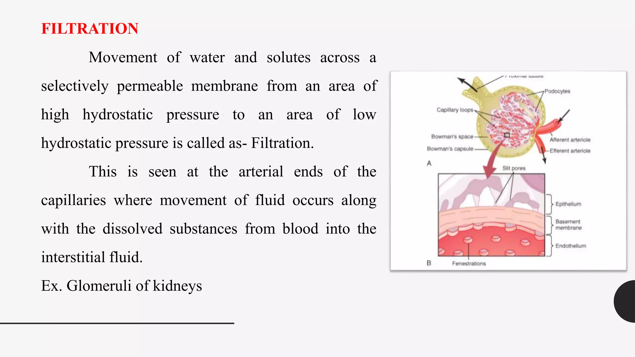 PHYSIOLOGY OF CELL TRANSPORT.pptx
