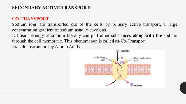 PHYSIOLOGY OF CELL TRANSPORT.pptx | Blood Disorders | Diseases and ...