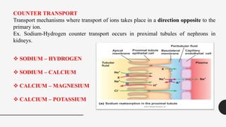 PHYSIOLOGY OF CELL TRANSPORT.pptx