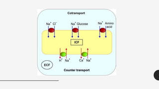 PHYSIOLOGY OF CELL TRANSPORT.pptx
