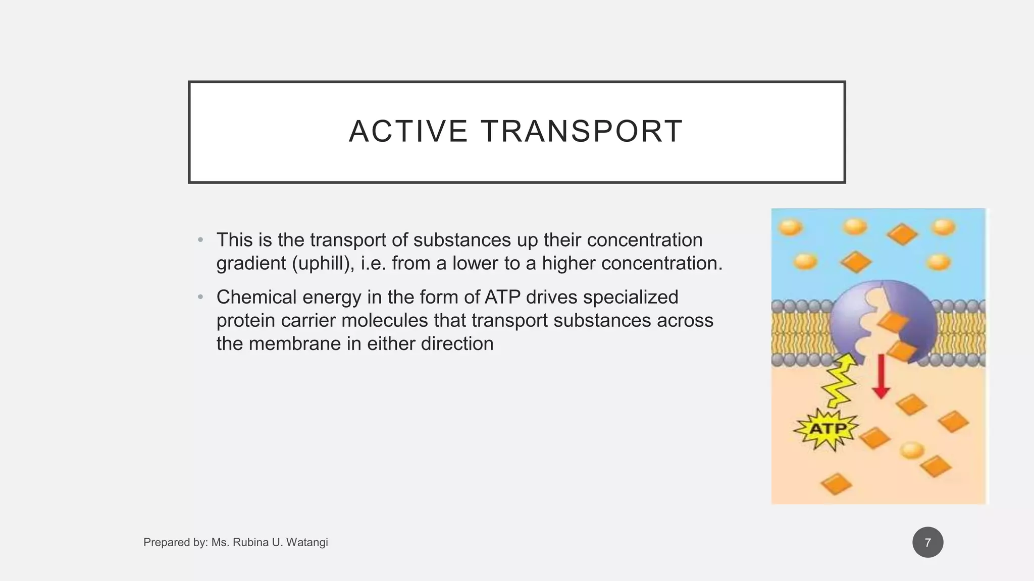 Transport of substances across cell membranes.pptx