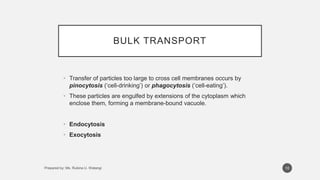 Transport of substances across cell membranes.pptx