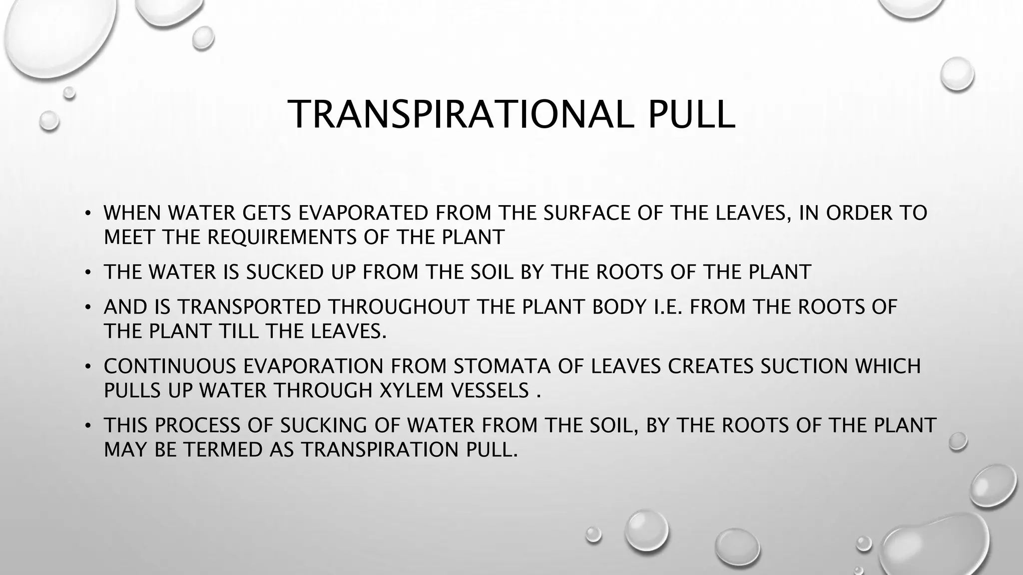 Transport of water\ water transport in plants | PPTX