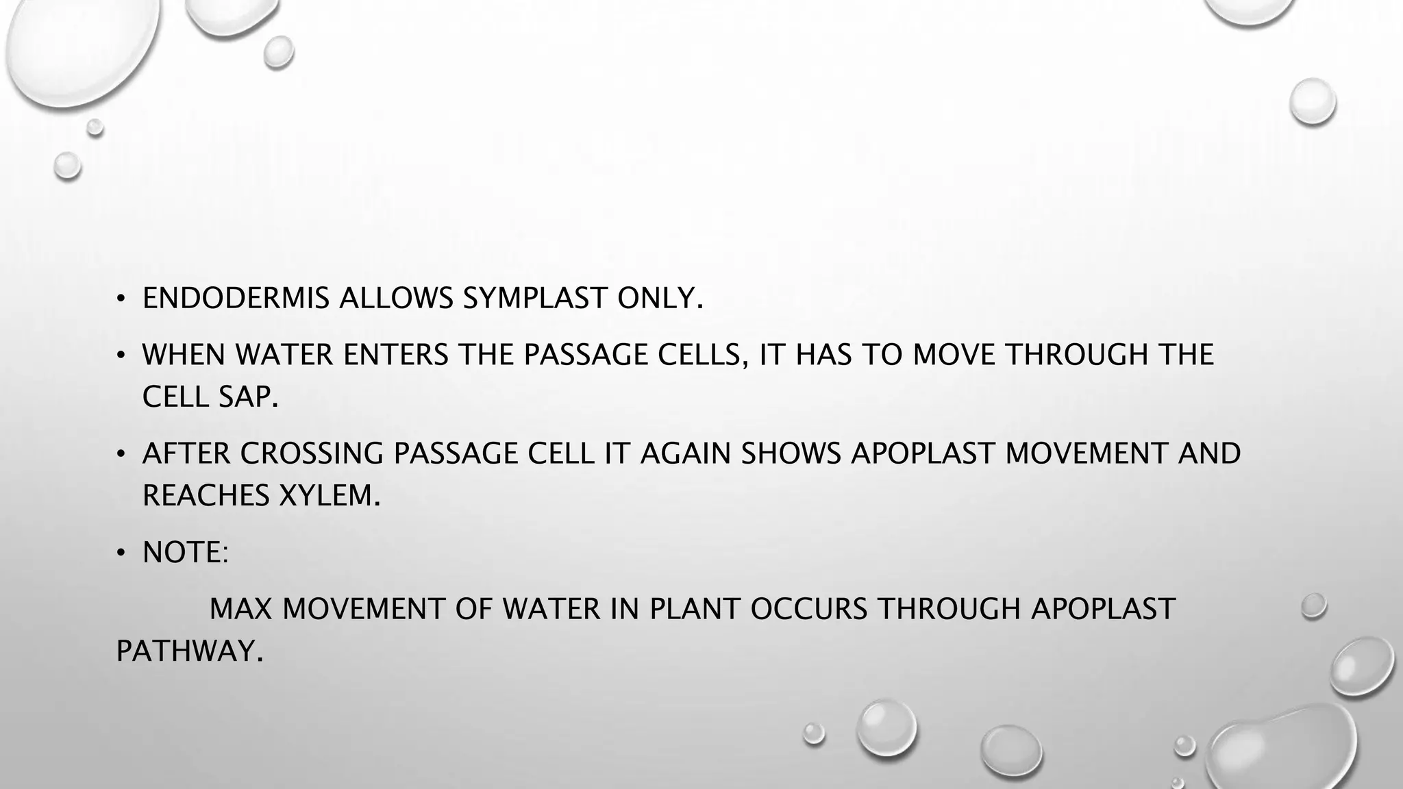 Transport of water\ water transport in plants | PPTX