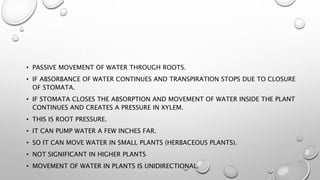 Transport of water\ water transport in plants | PPTX