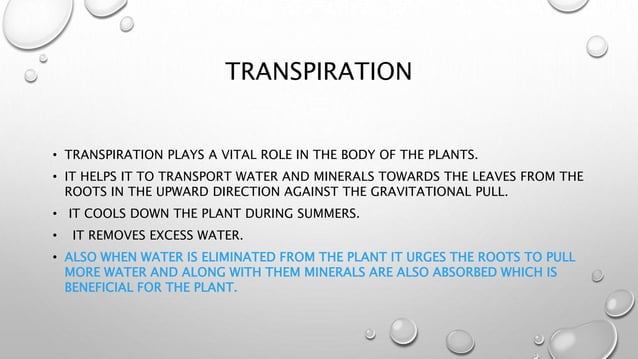 Transport of water\ water transport in plants | PPTX