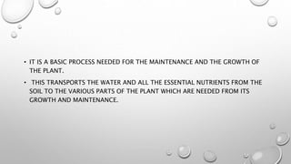 Transport of water\ water transport in plants | PPTX