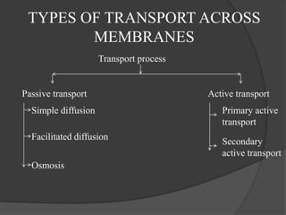 Transport processes | PPTX