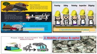 Transport sector | PPTX