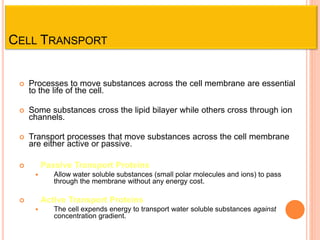 Cell and cellular transport system | PPTX