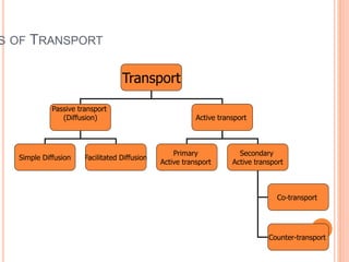 Cell and cellular transport system | PPTX