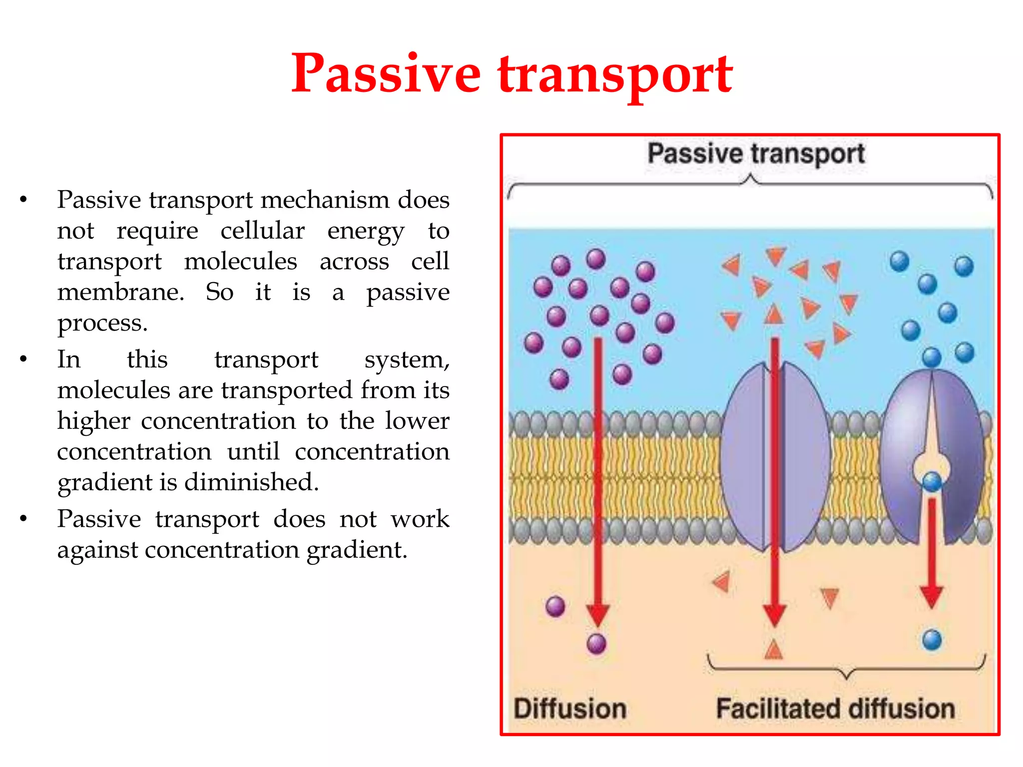 Transport system | PPTX