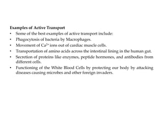 Transport system | PPTX