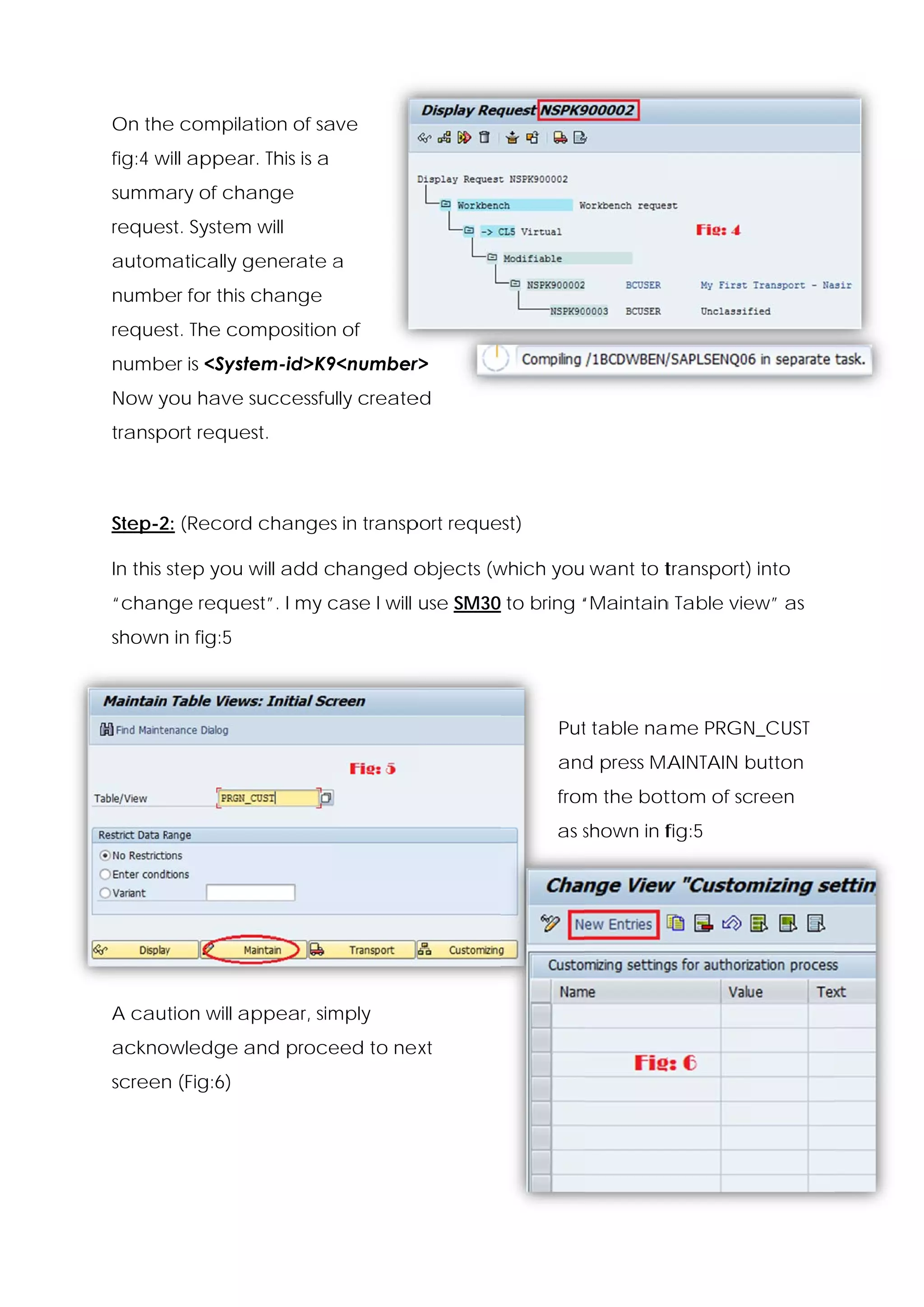 SAP Transport System; Step-by-step guide from concept to practical | PDF