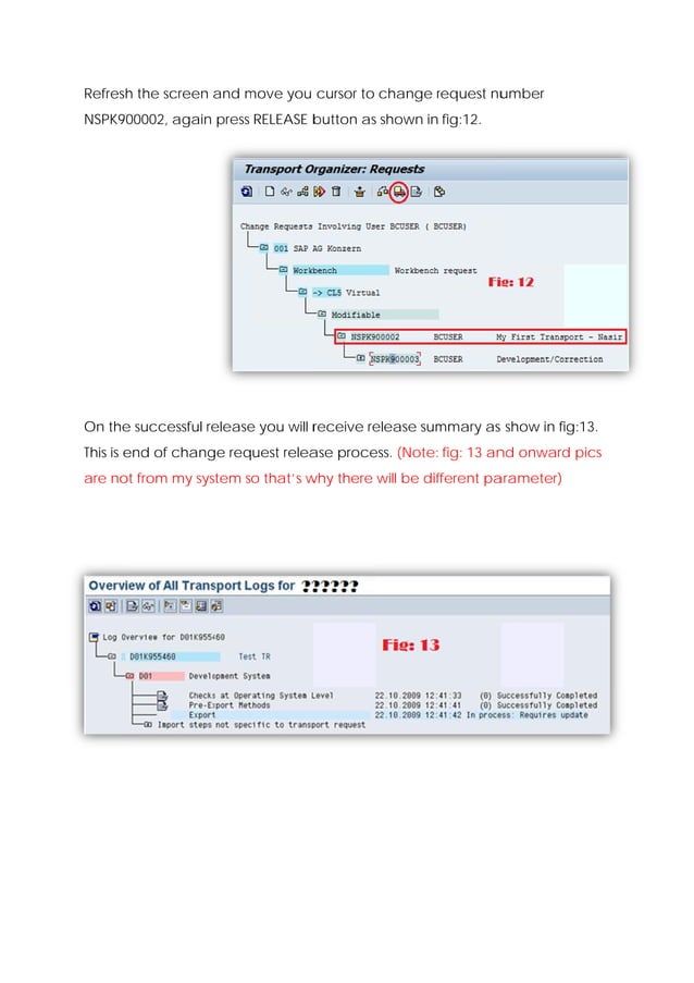 SAP Transport System; Step-by-step guide from concept to practical ...