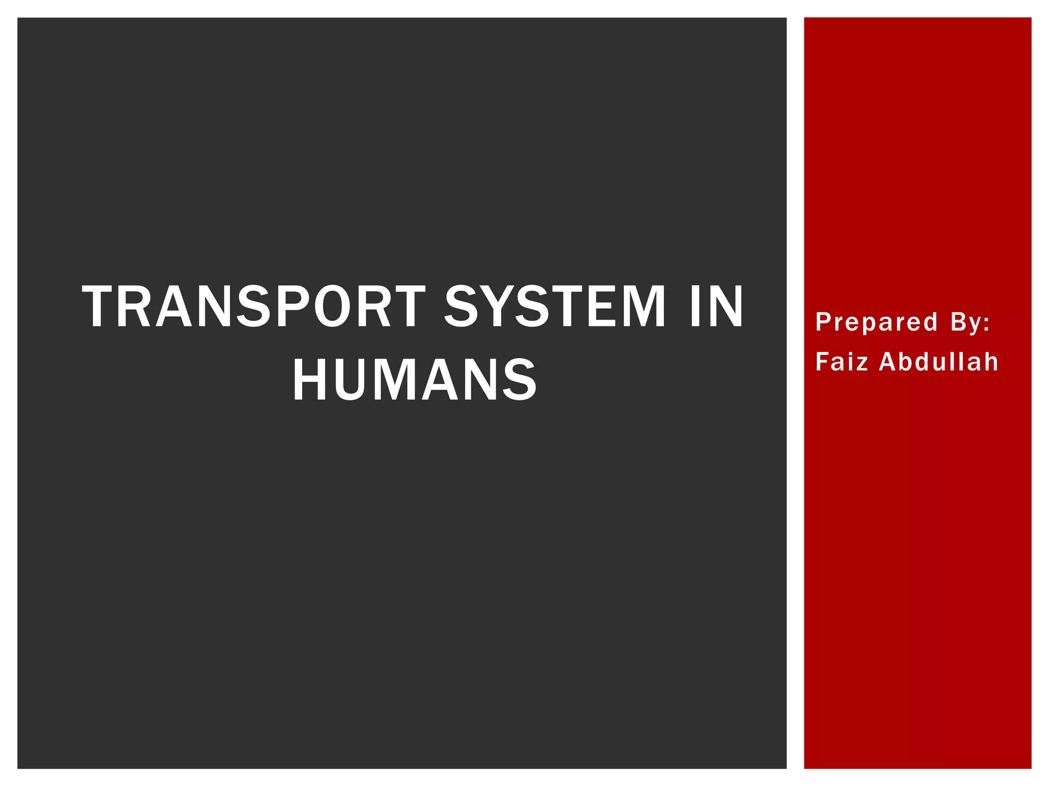 Transport system in humans | PPTX