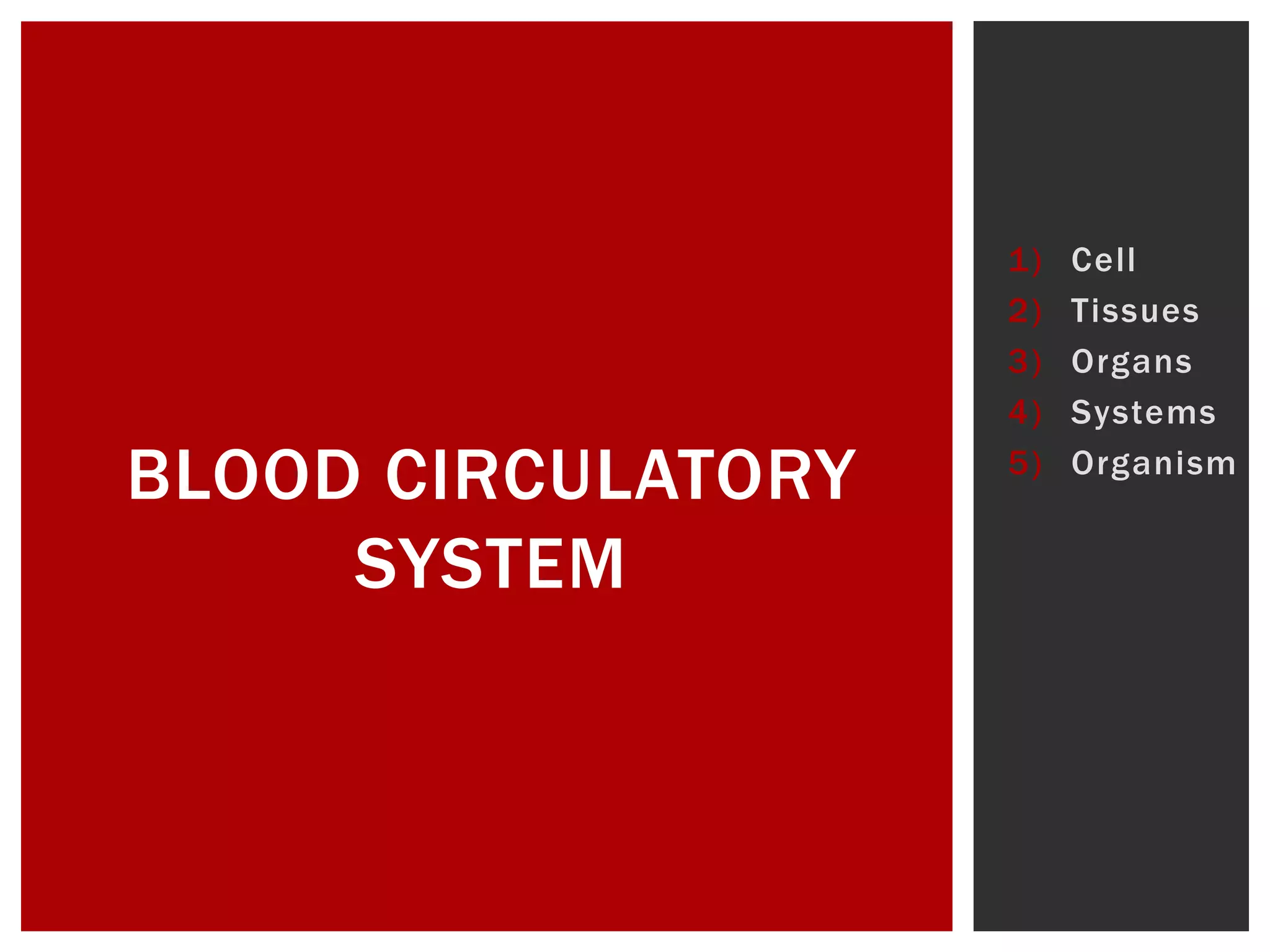 Transport system in humans | PPTX