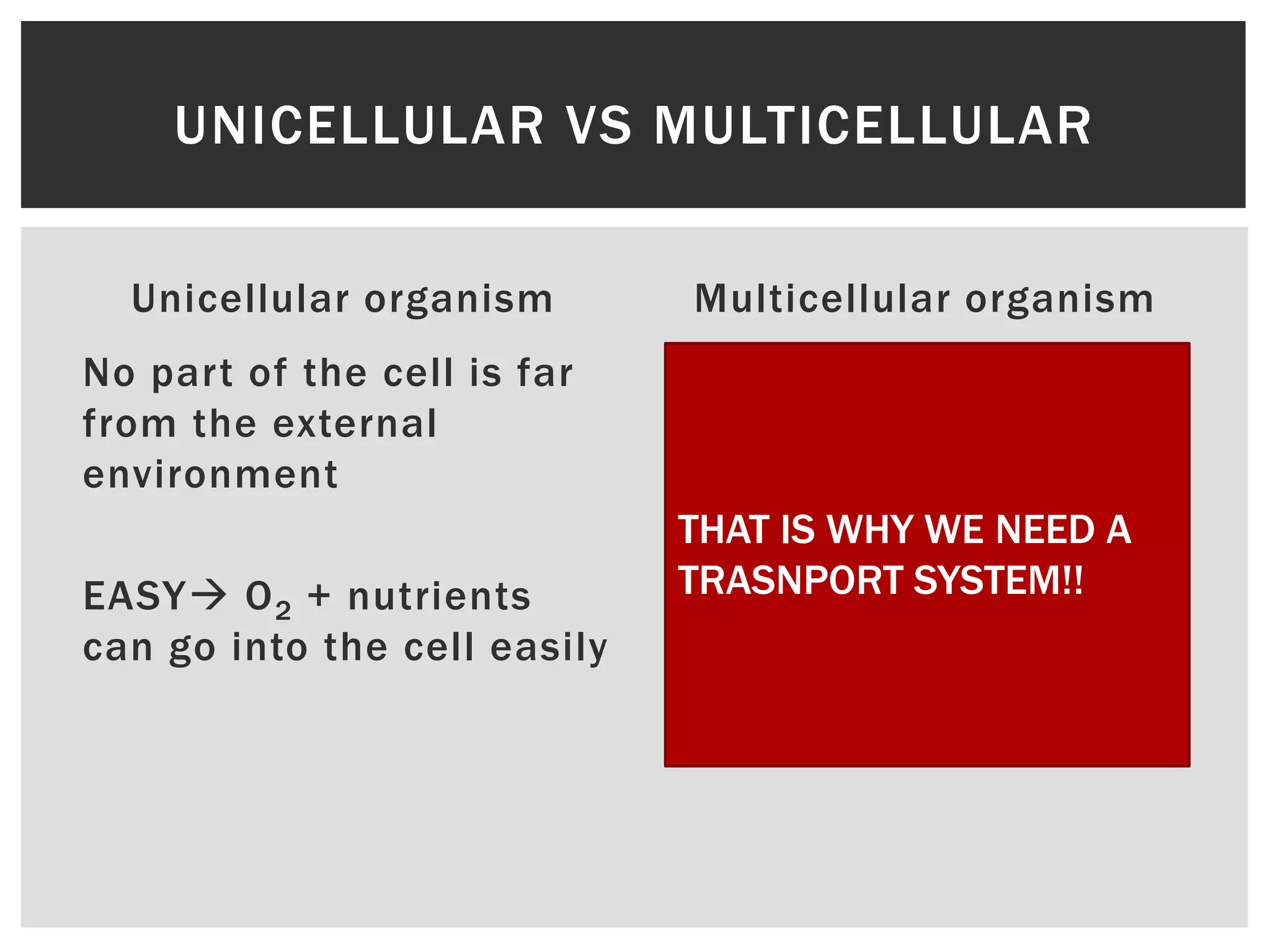 Transport system in humans | PPTX