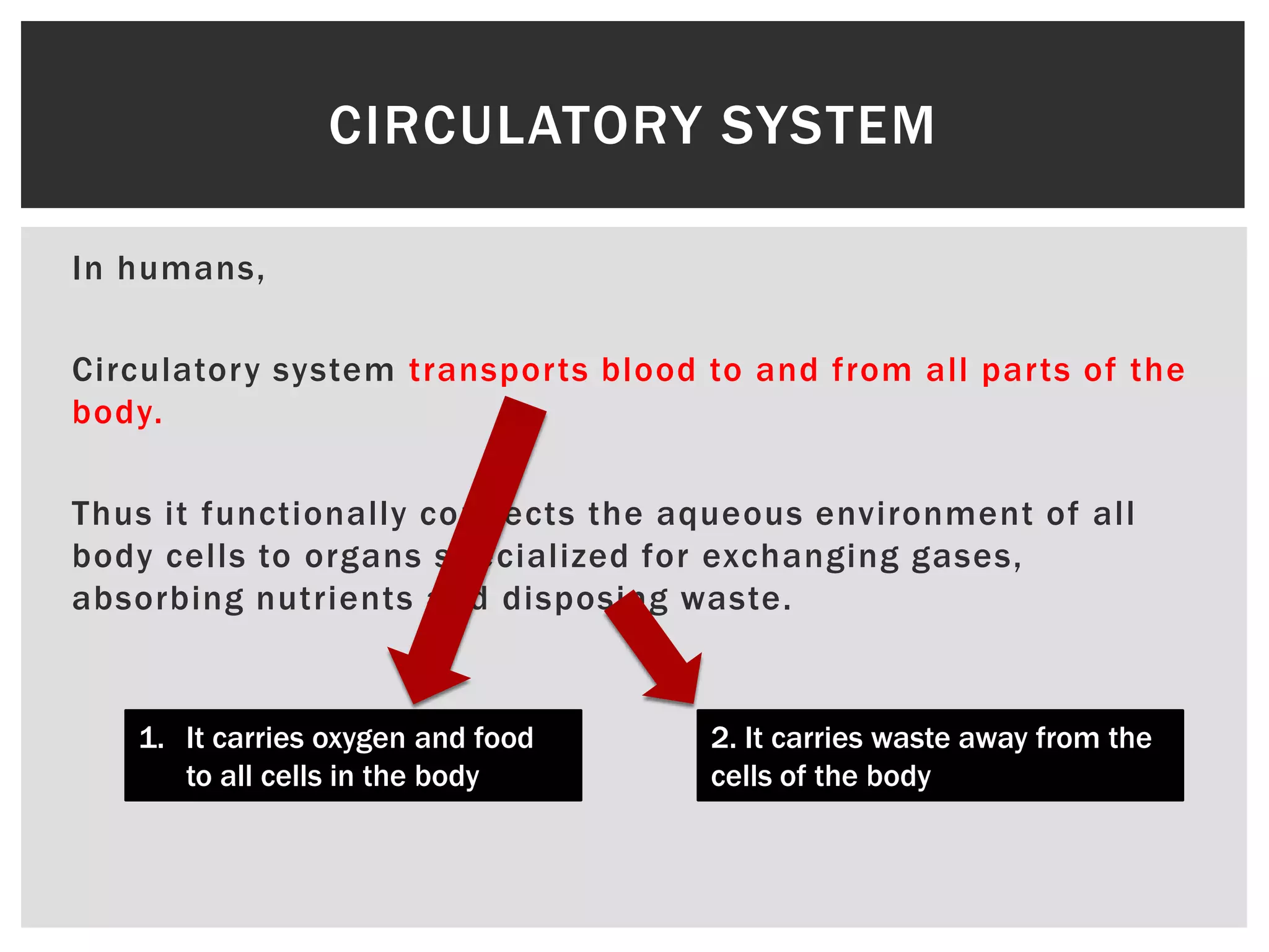 Transport system in humans | PPTX