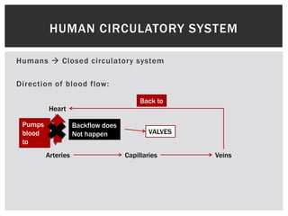 Transport system in humans | PPTX