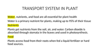 Chapter 14: TRANSPORT SYSTEM IN PLANT (8th grade) | PPTX