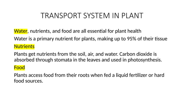 Chapter 14: TRANSPORT SYSTEM IN PLANT (8th grade) | PPTX