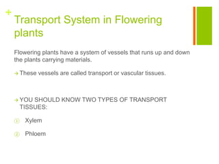 Transport system in plants | PPTX
