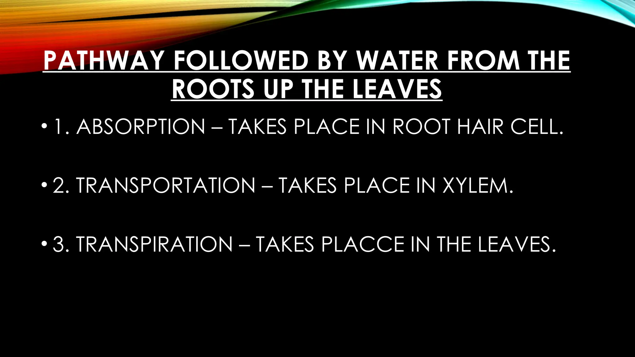 TRANSPORT SYSTEM IN PLANTS (Biology grade 9) | PPTX