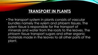 TRANSPORT SYSTEM IN PLANTS (Biology grade 9) | PPTX