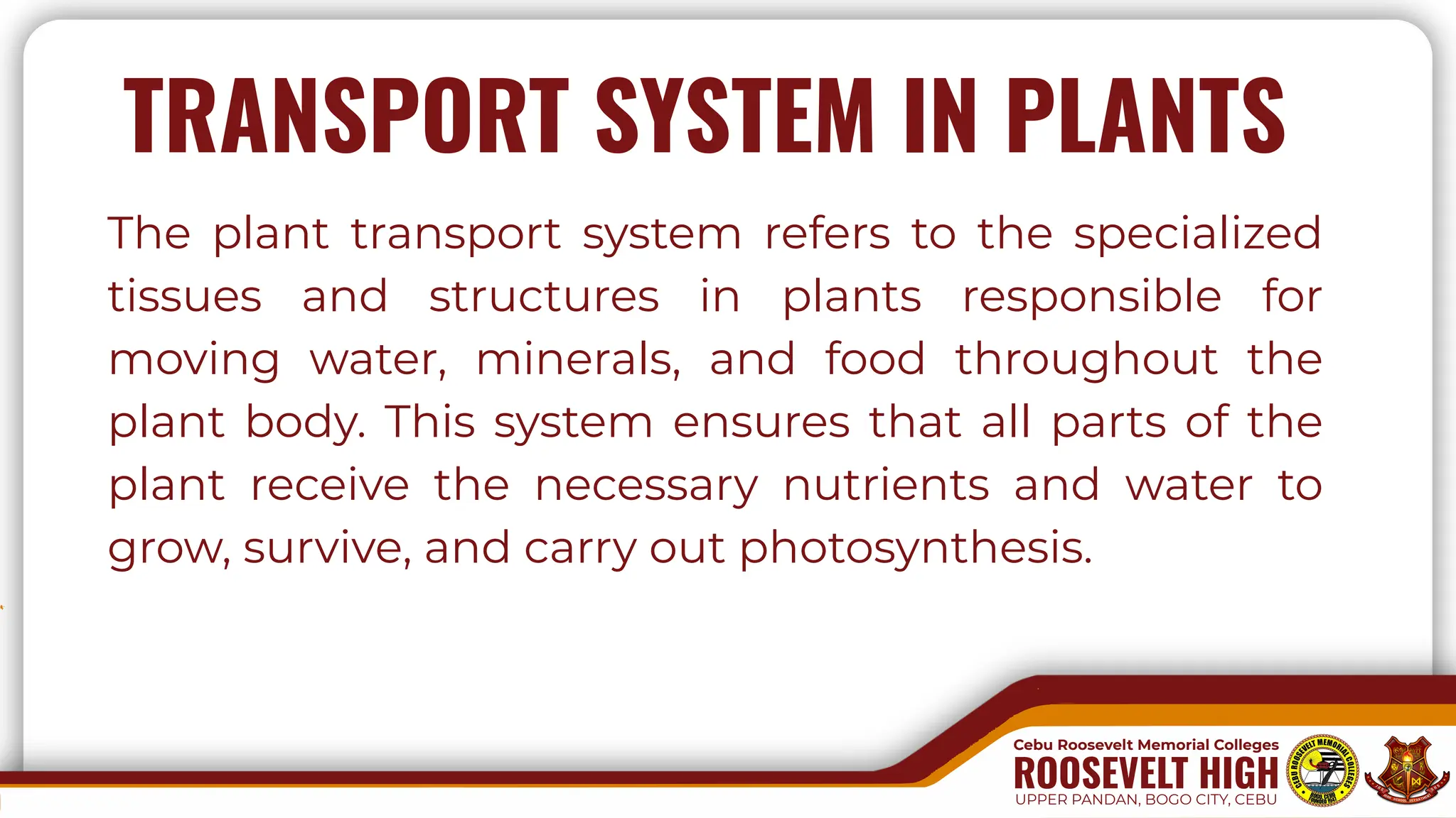 Transport System in Plants (Xylem and Phloem).pdf