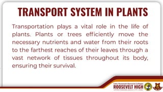 Transport System in Plants (Xylem and Phloem).pdf