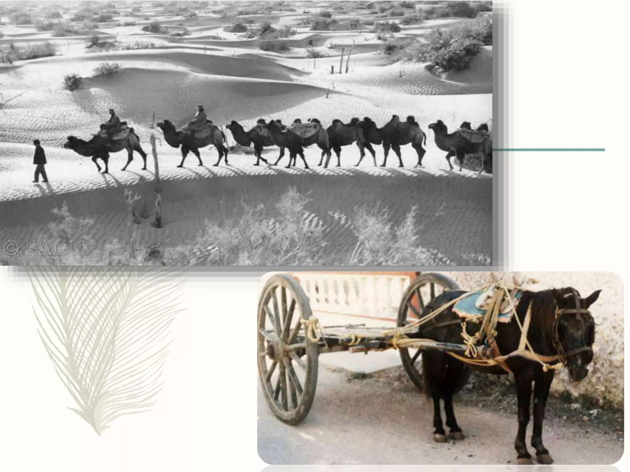 Transport system of india | PPTX