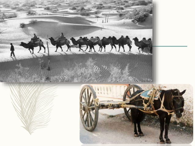 Transport system of india | PPTX | Rail Travel | Travel Type