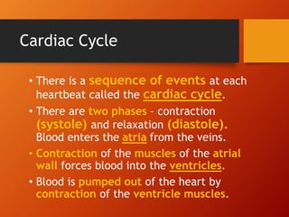 Transport Systems in Mammals | PPTX